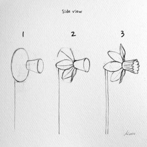 comment dessiner une fleur en trois étapes par Kate Kyehyun Park ...
