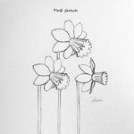 comment dessiner une fleur en trois étapes par Kate Kyehyun Park ...