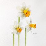 comment dessiner une fleur en trois étapes par Kate Kyehyun Park ...