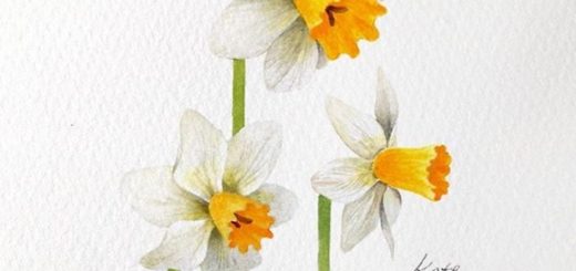 Comment dessiner un requin - Dessein de dessin