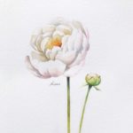 comment dessiner une fleur en trois étapes par Kate Kyehyun Park ...