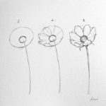 comment dessiner une fleur en trois étapes par Kate Kyehyun Park ...