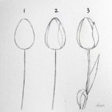 comment dessiner une fleur en trois étapes par Kate Kyehyun Park ...