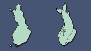 Zackabier redessine la carte d'Europe en fonction des ressemblances des ...